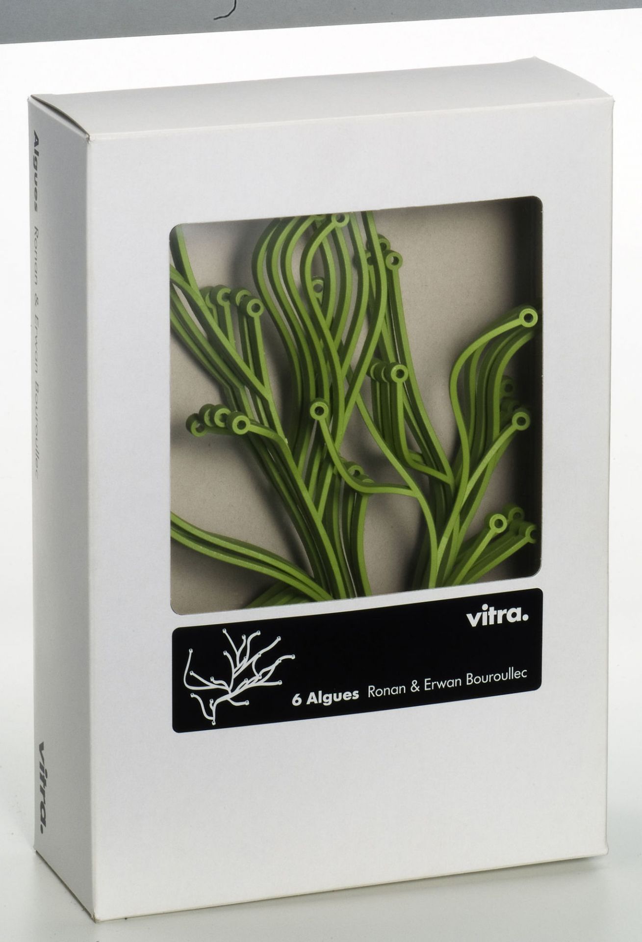 La répartition des algues